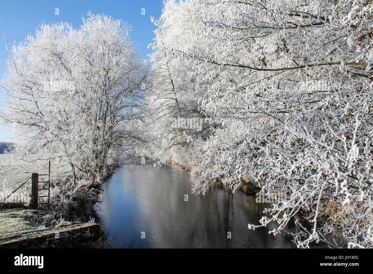 FROST IN WINTER,NORMANDY,FRANCE Stock Photo - Alamy