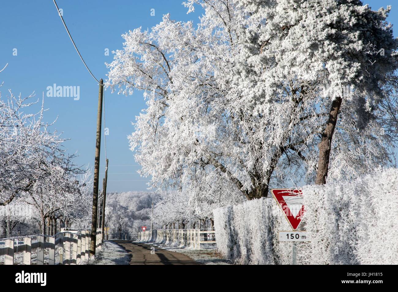FROST IN WINTER,NORMANDY,FRANCE Stock Photo - Alamy