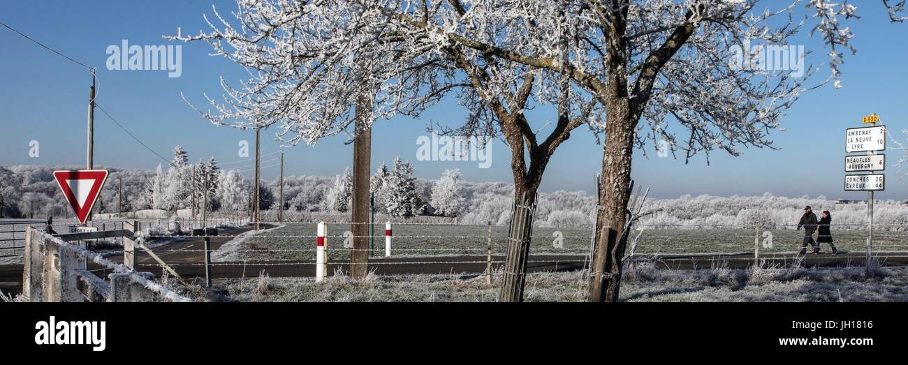 FROST IN WINTER,NORMANDY,FRANCE Stock Photo - Alamy