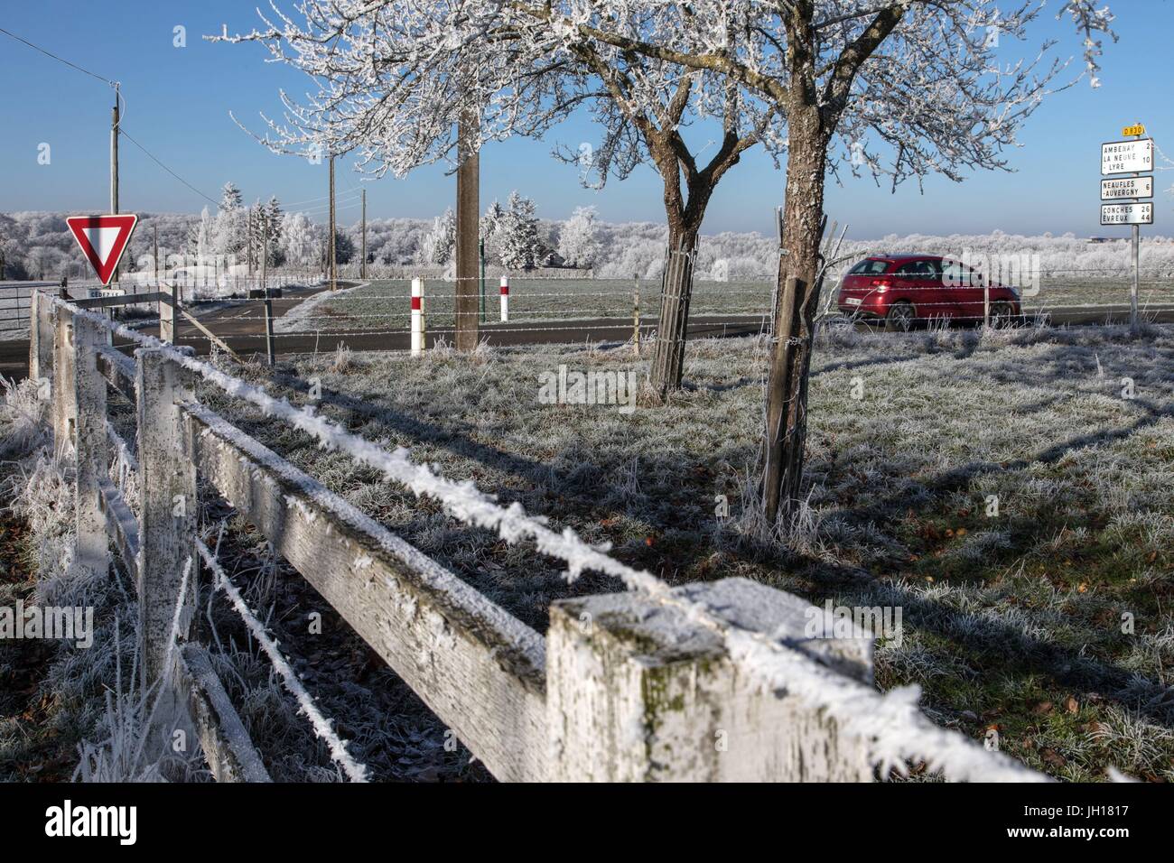 FROST IN WINTER,NORMANDY,FRANCE Stock Photo - Alamy