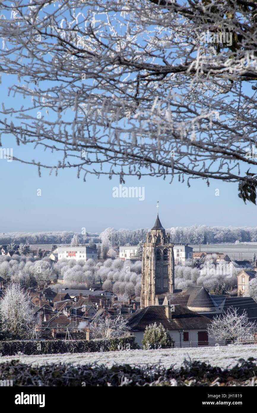 FROST IN WINTER,NORMANDY,FRANCE Stock Photo - Alamy