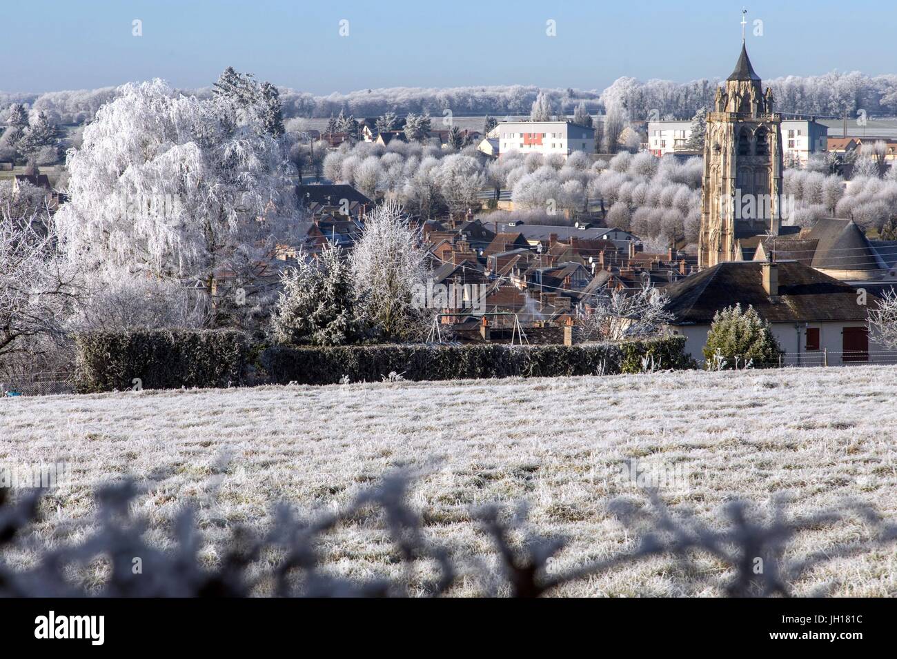 FROST IN WINTER,NORMANDY,FRANCE Stock Photo - Alamy