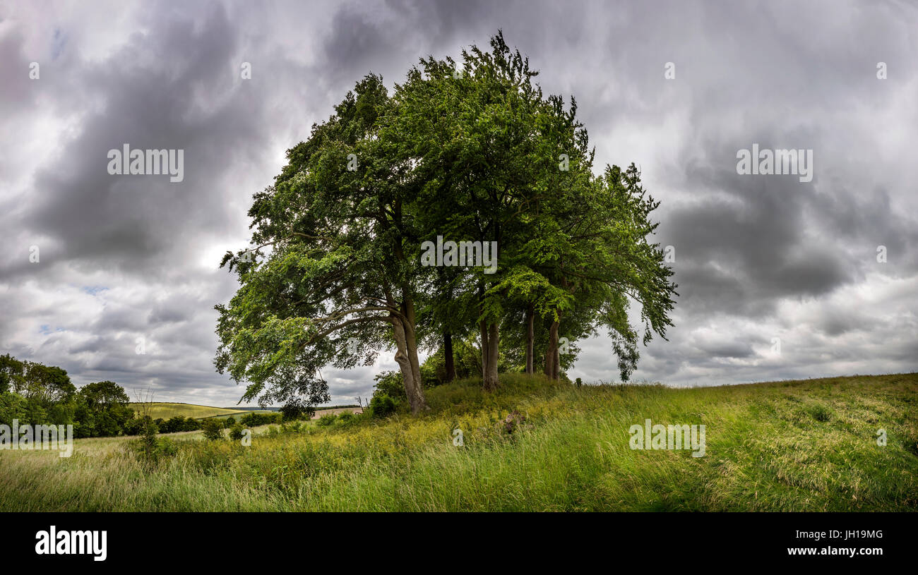 East Kennet Long Barrow near Avebury, Wiltshire, UK Stock Photo - Alamy