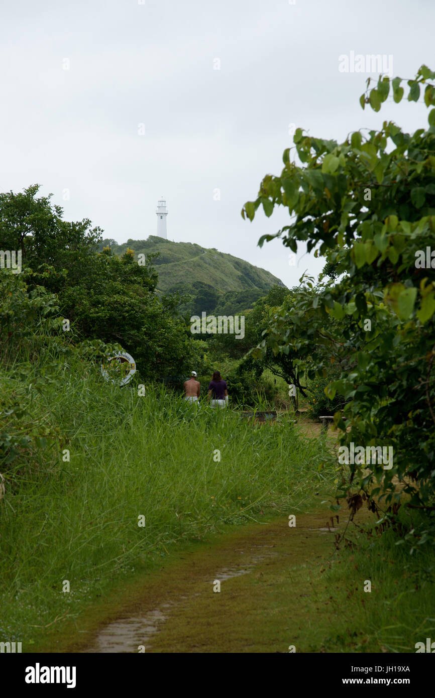 Beach Shells, Ilha do Mel, Paraná, Brazil Stock Photo - Alamy