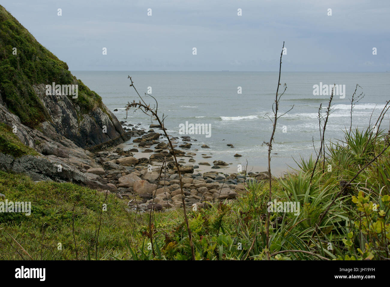 Beach Shells, Ilha do Mel, Paraná, Brazil Stock Photo - Alamy