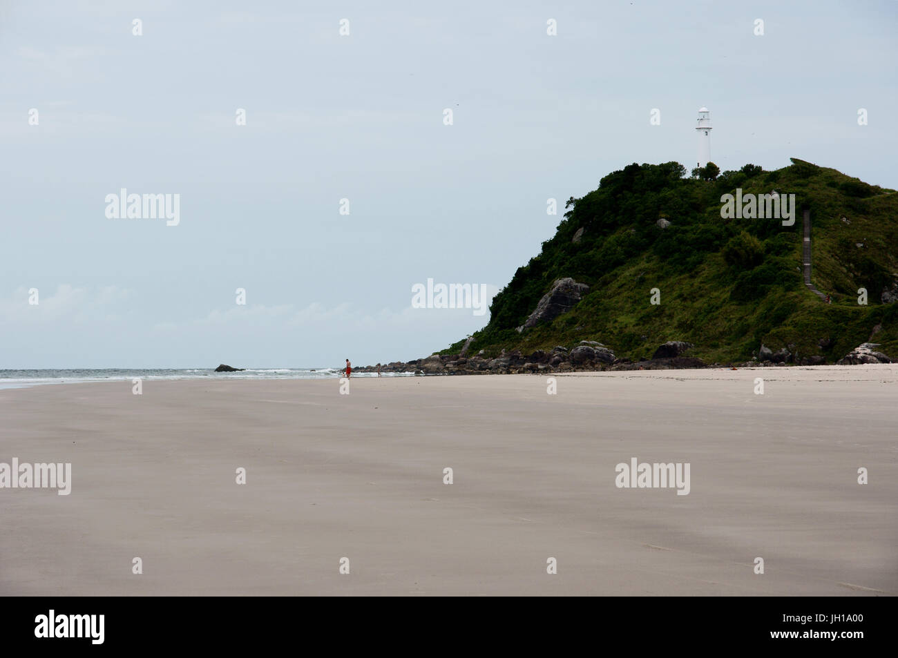 Beach Shells, Ilha do Mel, Paraná, Brazil Stock Photo - Alamy