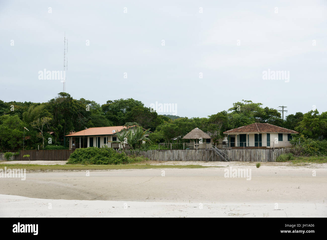 Beach Shells, Ilha do Mel, Paraná, Brazil Stock Photo - Alamy