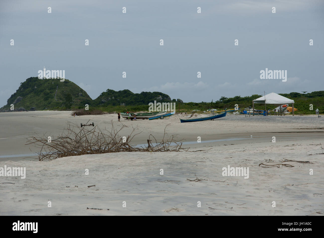 Beach Shells, Ilha do Mel, Paraná, Brazil Stock Photo - Alamy