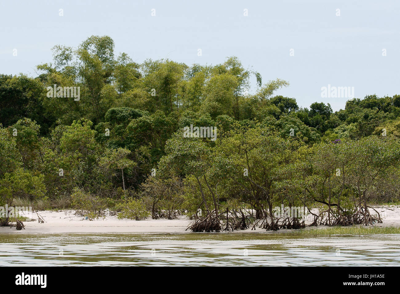 Beach, Ilha do Mel, Paraná, Brazil Stock Photo - Alamy