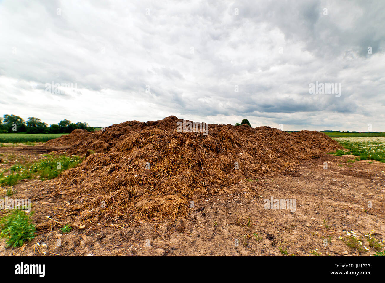 Agricultural land with a large heap of brown dung (cow dirt) used as a ...