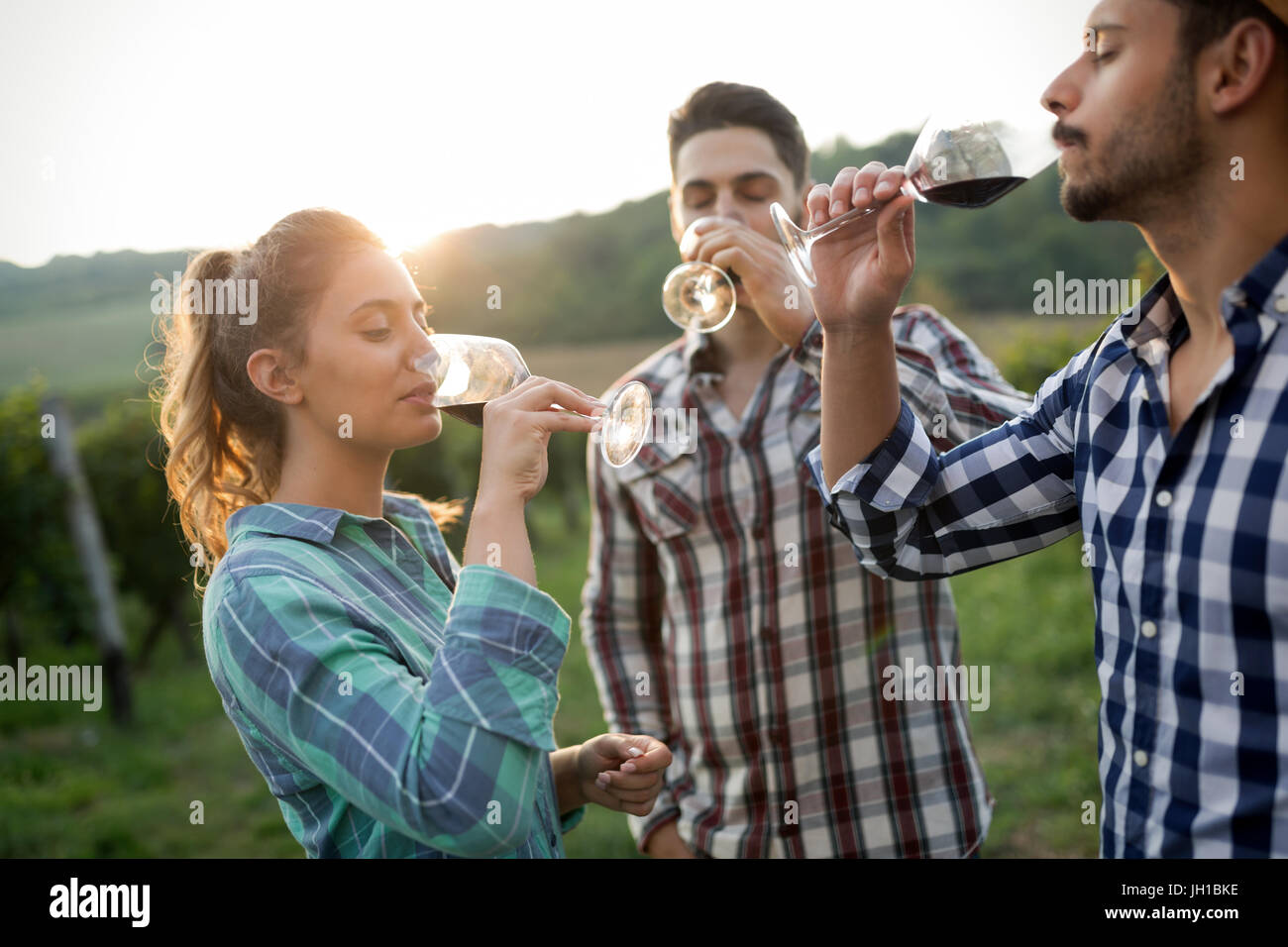 Agriculture grape vine vineyard hi-res stock photography and images - Alamy