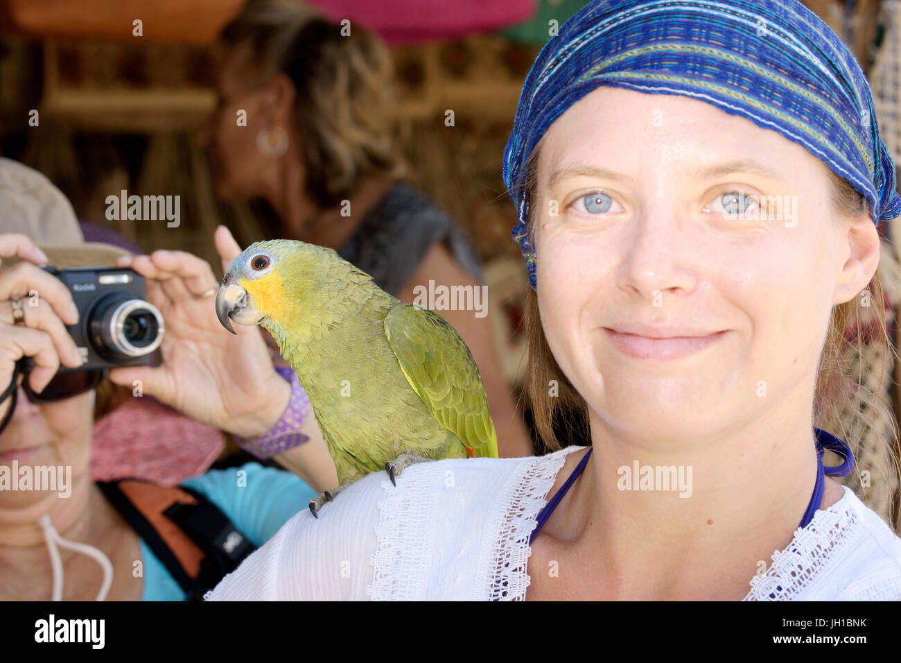 Parrot greek hi-res stock photography and images - Alamy