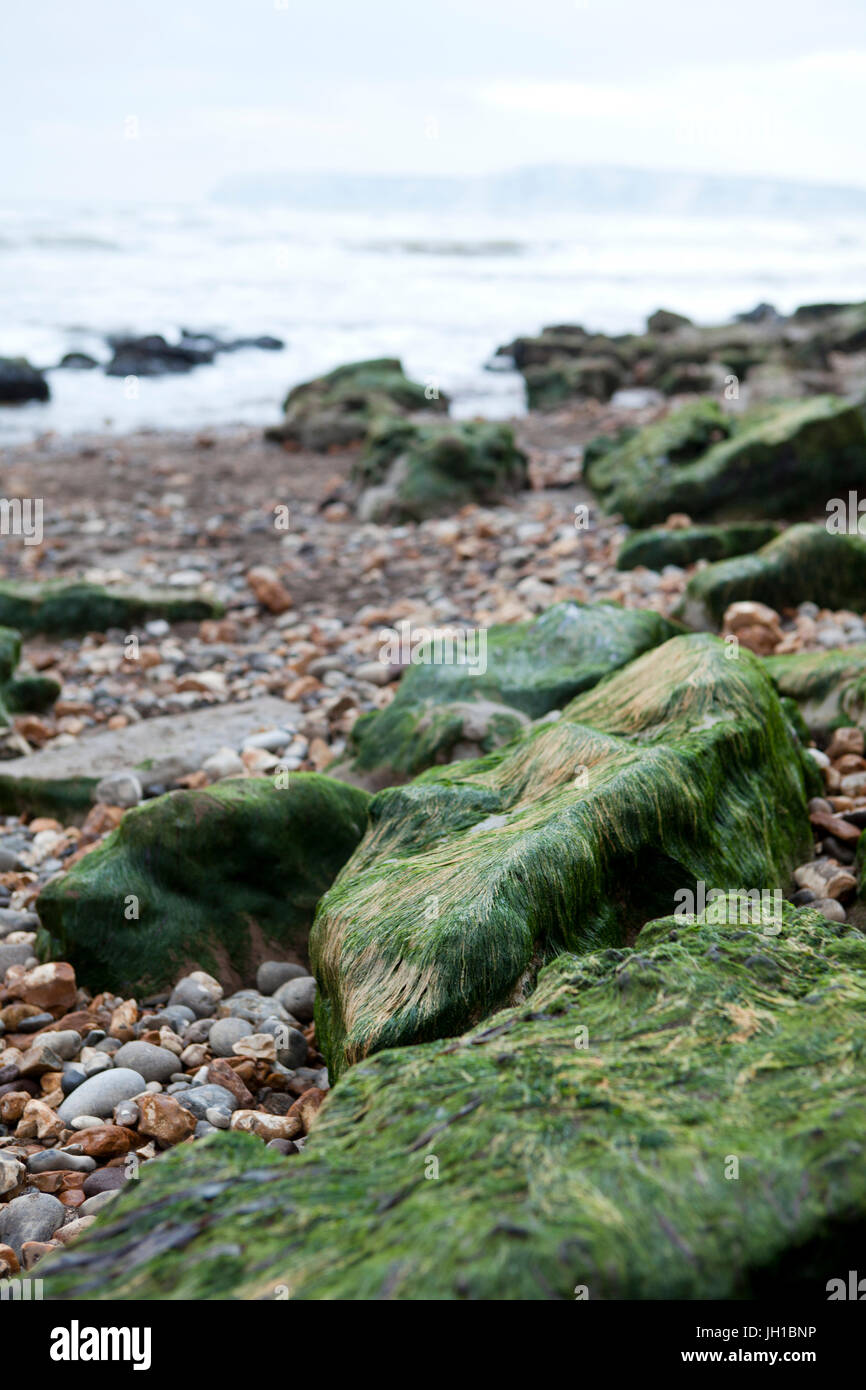 Compton Bay, Isle of Wight Stock Photo - Alamy