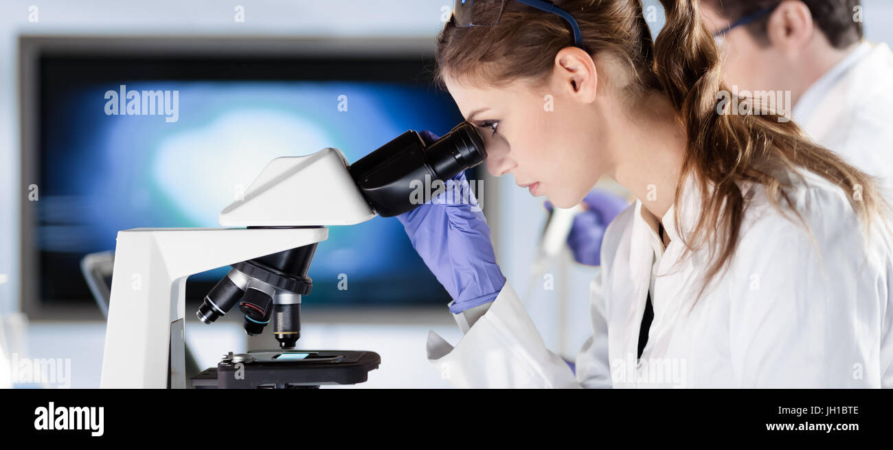 Life scientist researching in the laboratory Stock Photo - Alamy Life scientist researching in the laboratory Stock Photo - Alamy