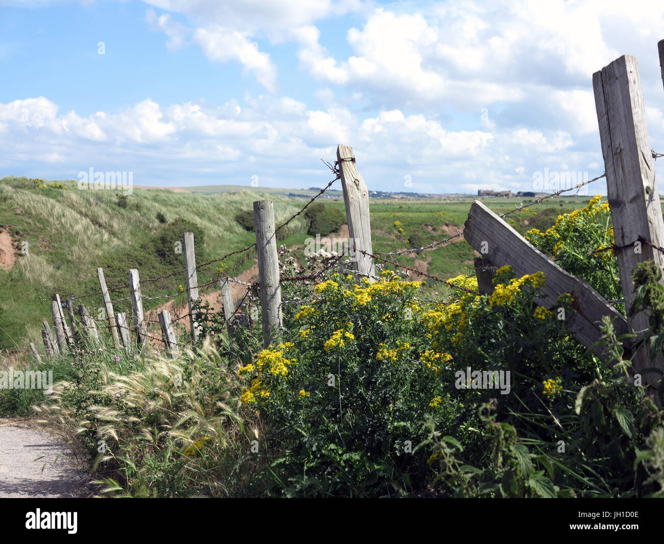 Marske by the sea hi-res stock photography and images - Alamy