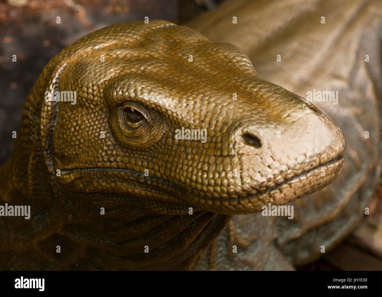 Toronto zoo hi-res stock photography and images - Alamy