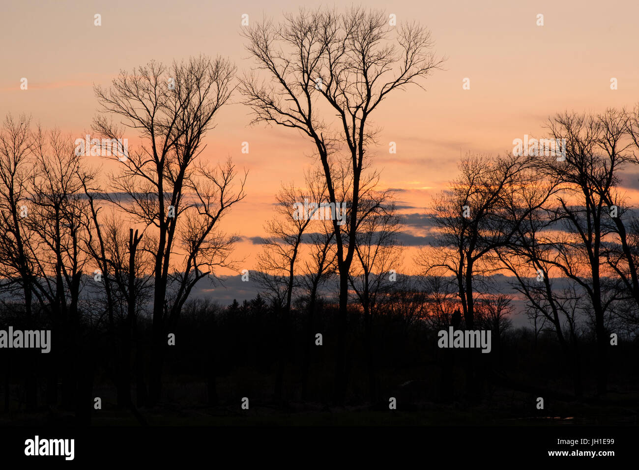 Brookfield park hi-res stock photography and images - Alamy