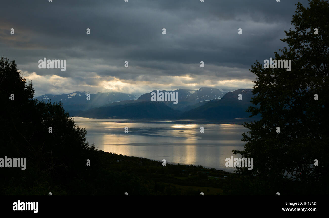 Scattered light filters through hi-res stock photography and images - Alamy