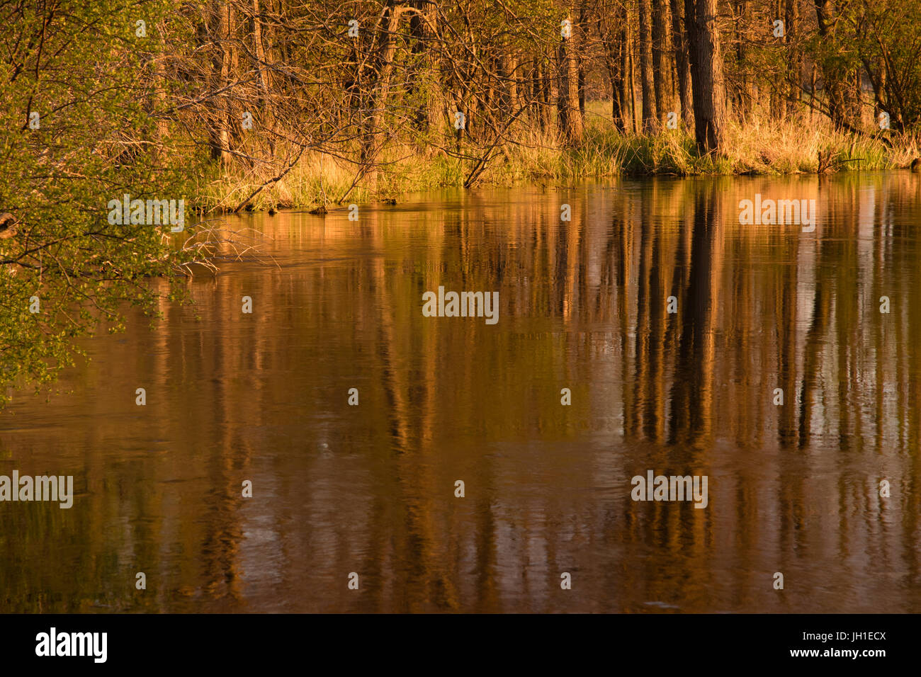 Trees in Reflection at Fox River in Brookfield, Wisconsin Stock Photo ...