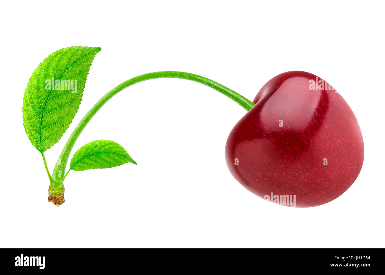 Cherry isolated. One red cherry with leaf isolated on white background ...