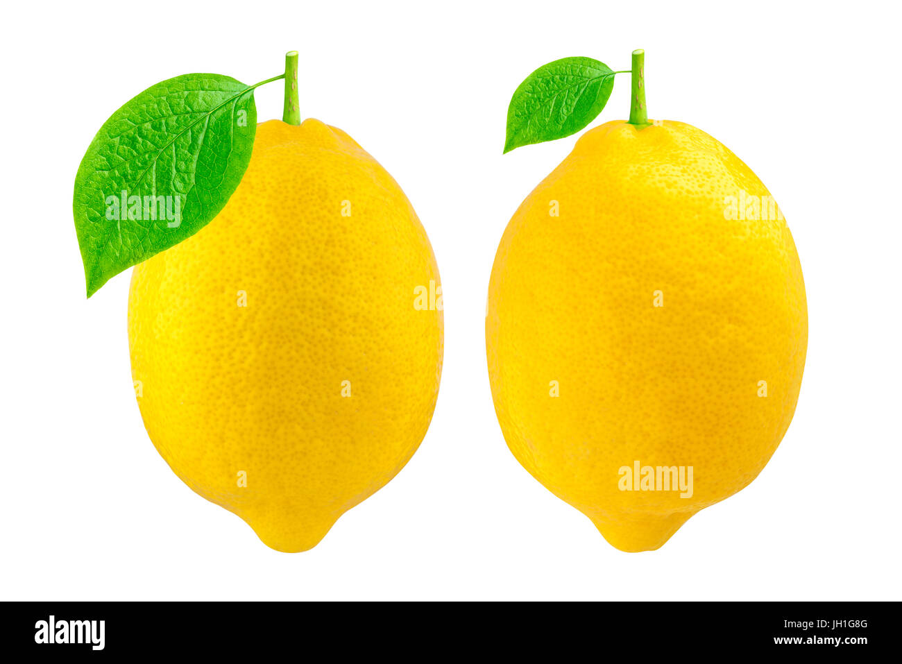 Lemon isolated. One whole lemon isolated on white background Stock ...