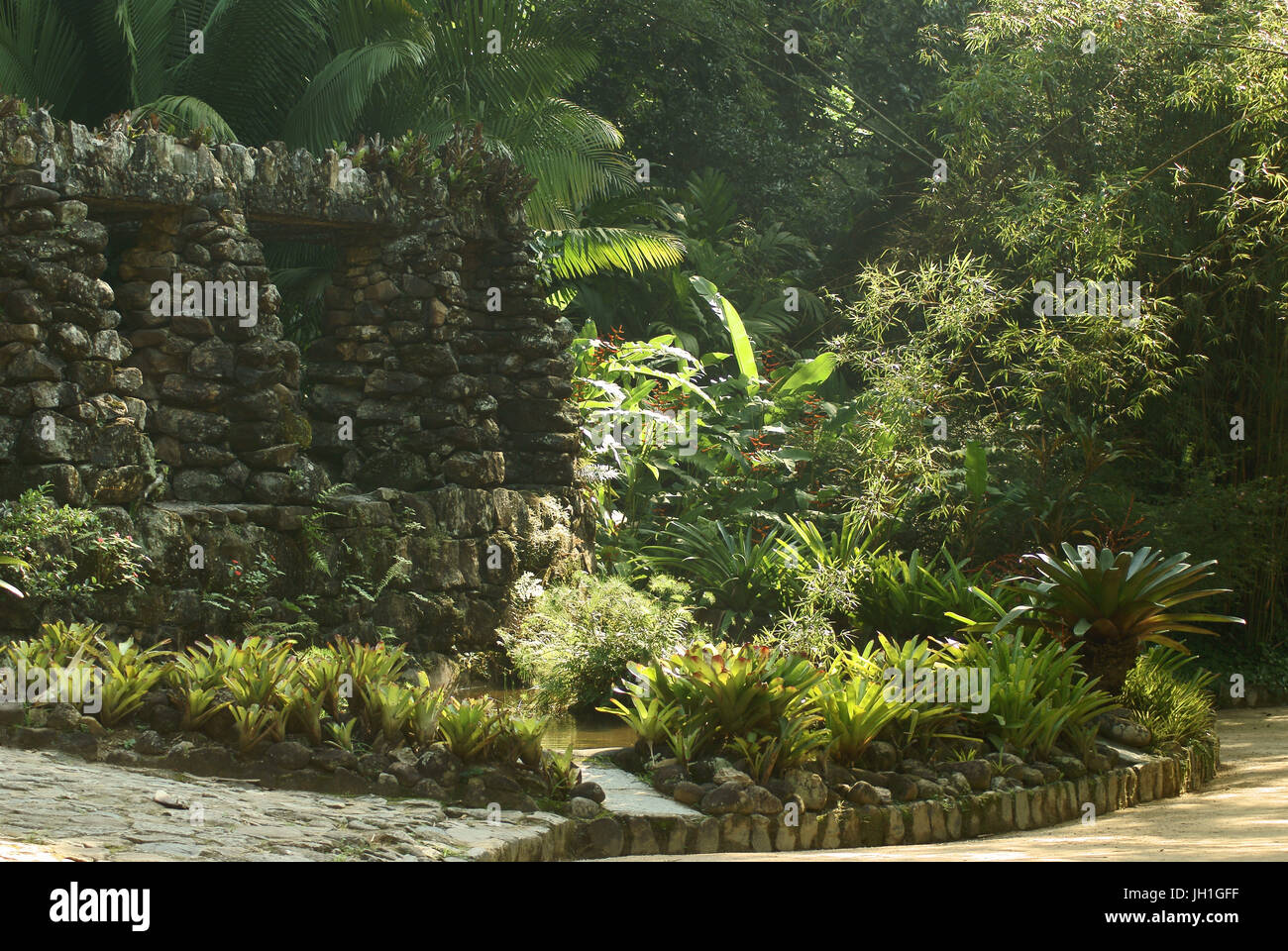 Nature, forest, City, Rio de Janeiro, Brazil Stock Photo - Alamy