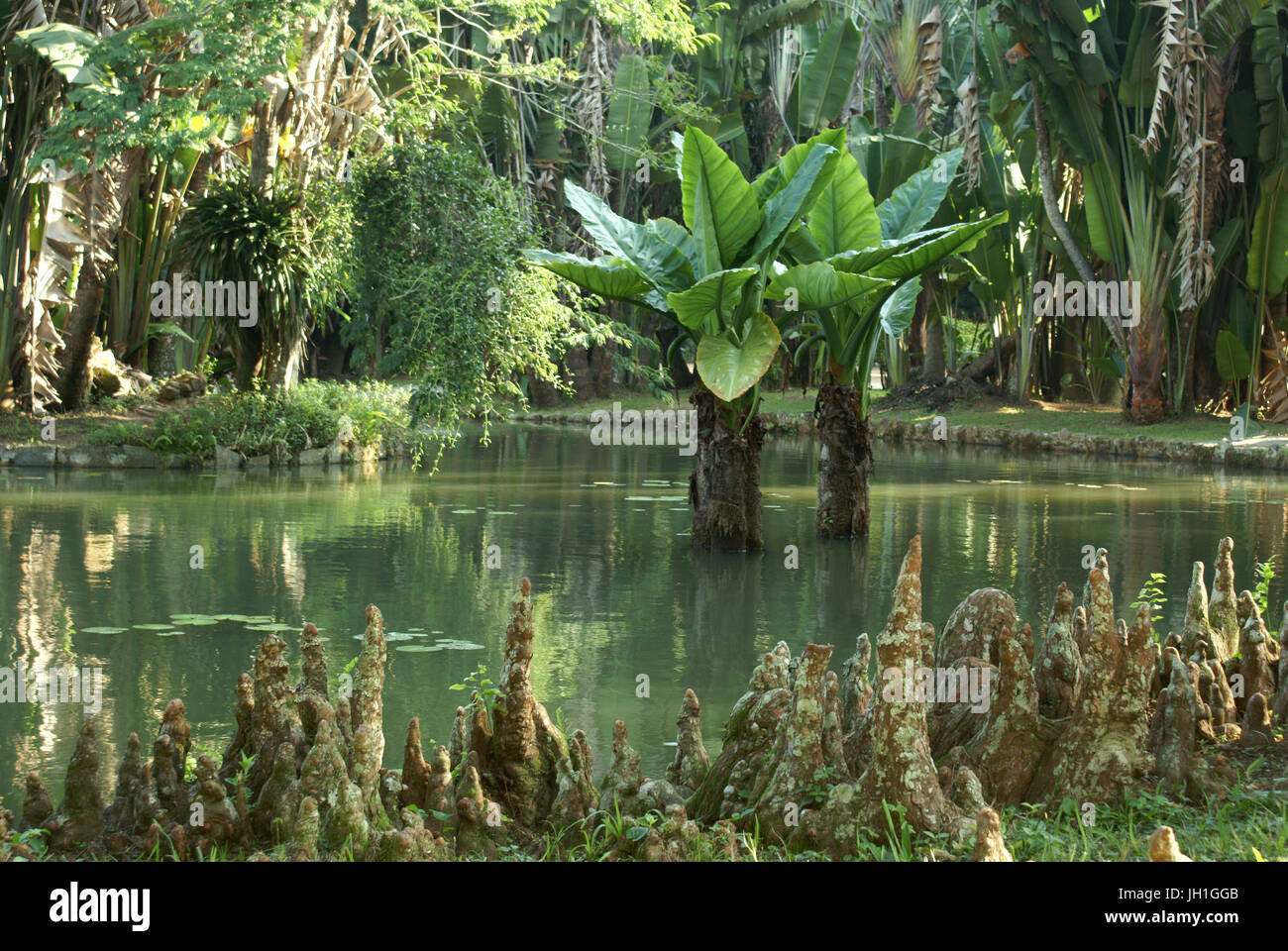 Textures de texture hi-res stock photography and images - Alamy