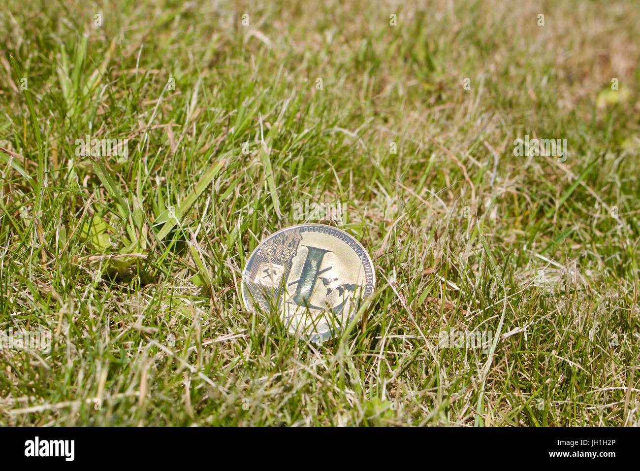 Gold and grass coin grass hi-res stock photography and images - Alamy