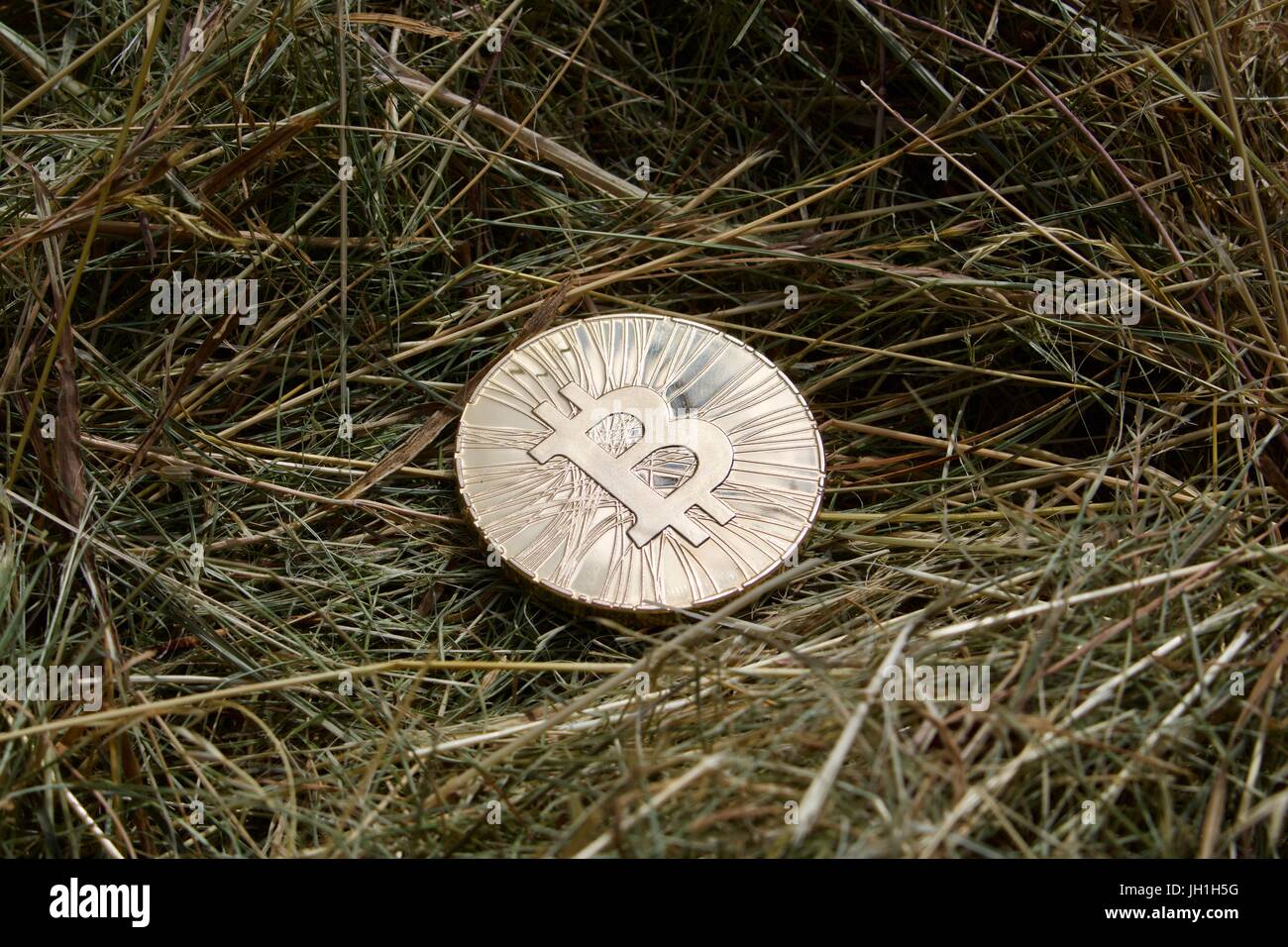Gold and grass coin grass hi-res stock photography and images - Alamy