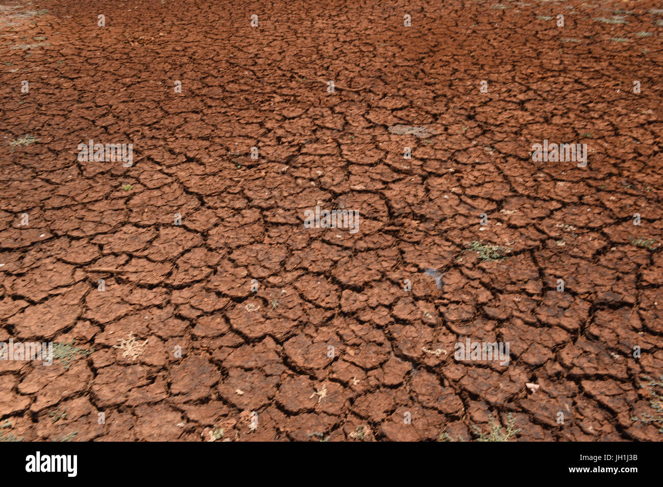 Black soil brazil hi-res stock photography and images - Alamy