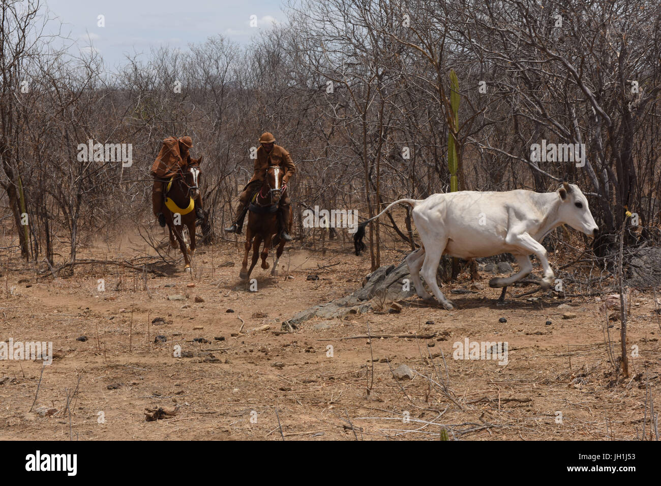 Black man arrested close hi-res stock photography and images - Alamy