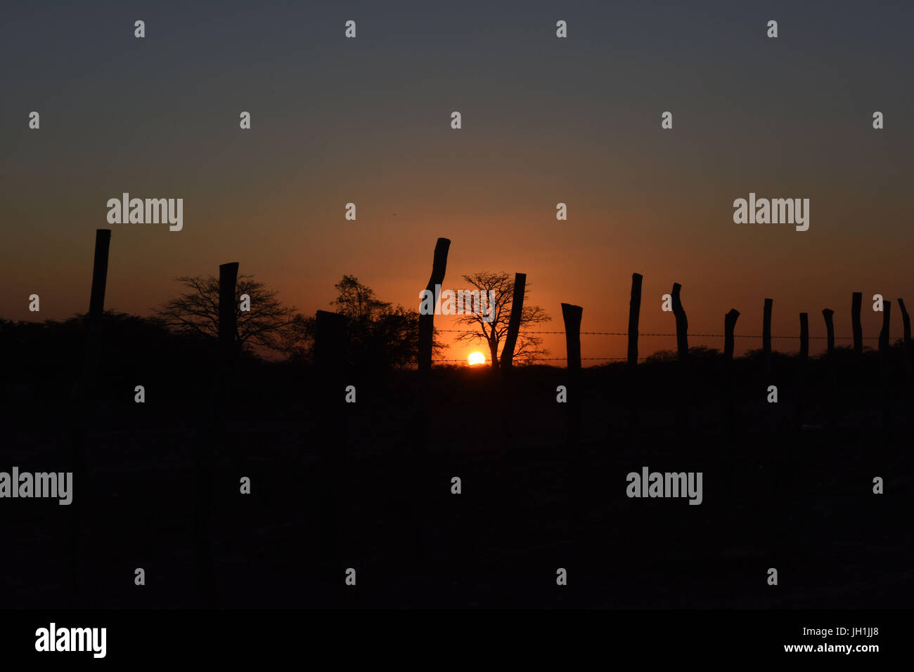 Sunset, 2017, Caatinga, Boa Vista, Paraíba, Brazil Stock Photo - Alamy