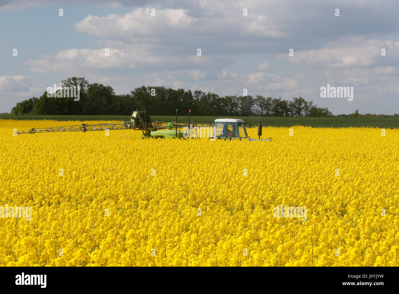 Rapeseed field europe hi-res stock photography and images - Alamy