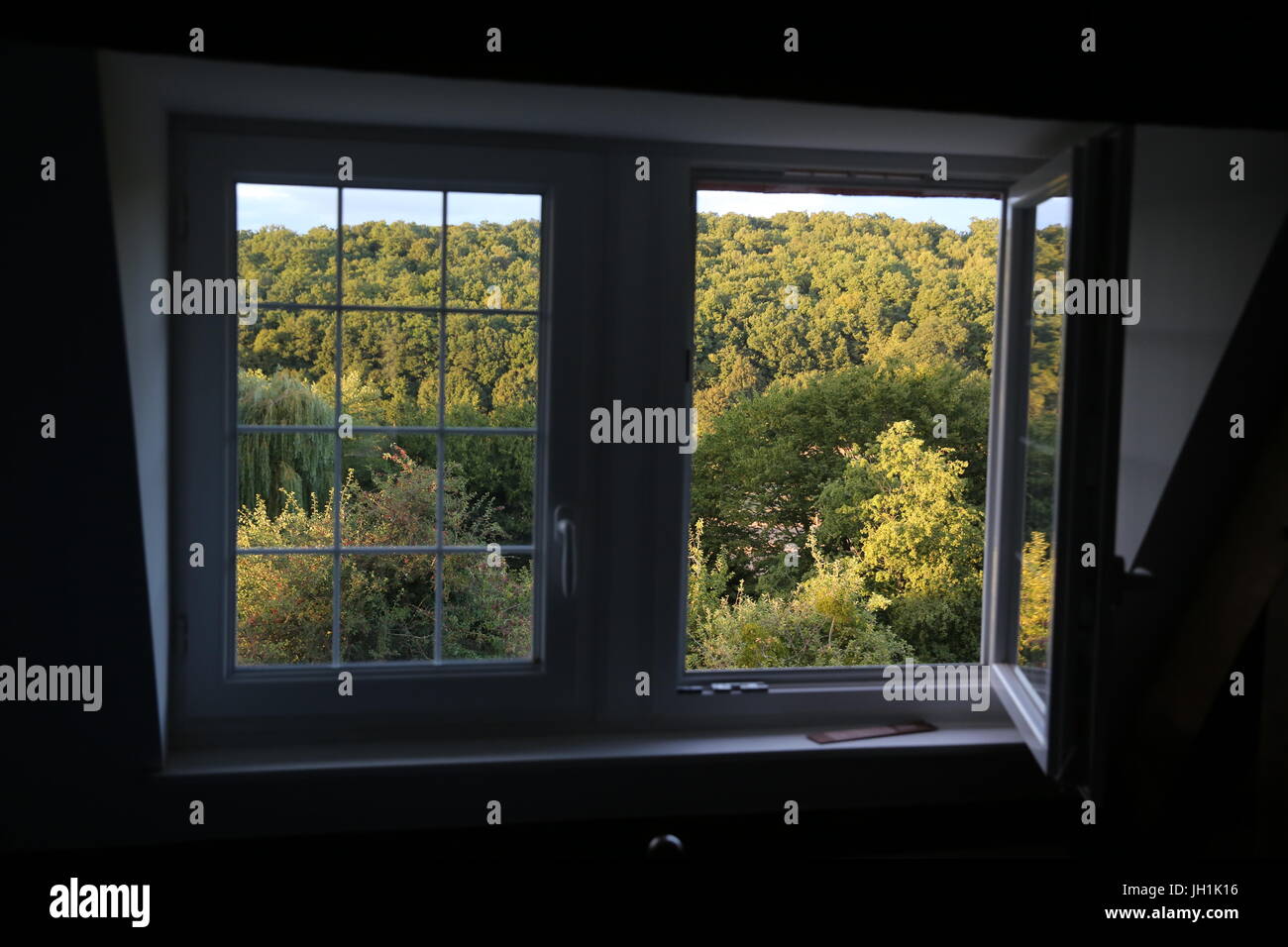 France normandy forest hi-res stock photography and images - Alamy