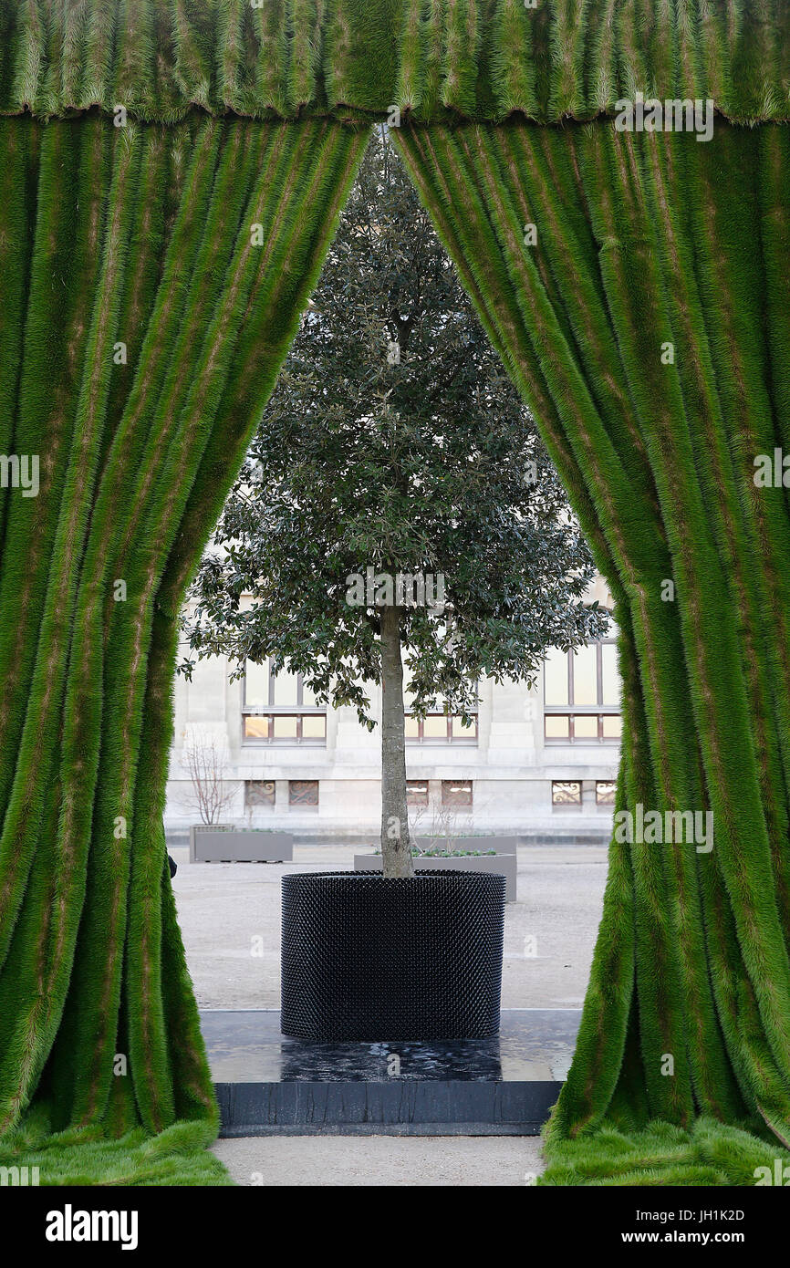 Curtain and tree. France Stock Photo - Alamy