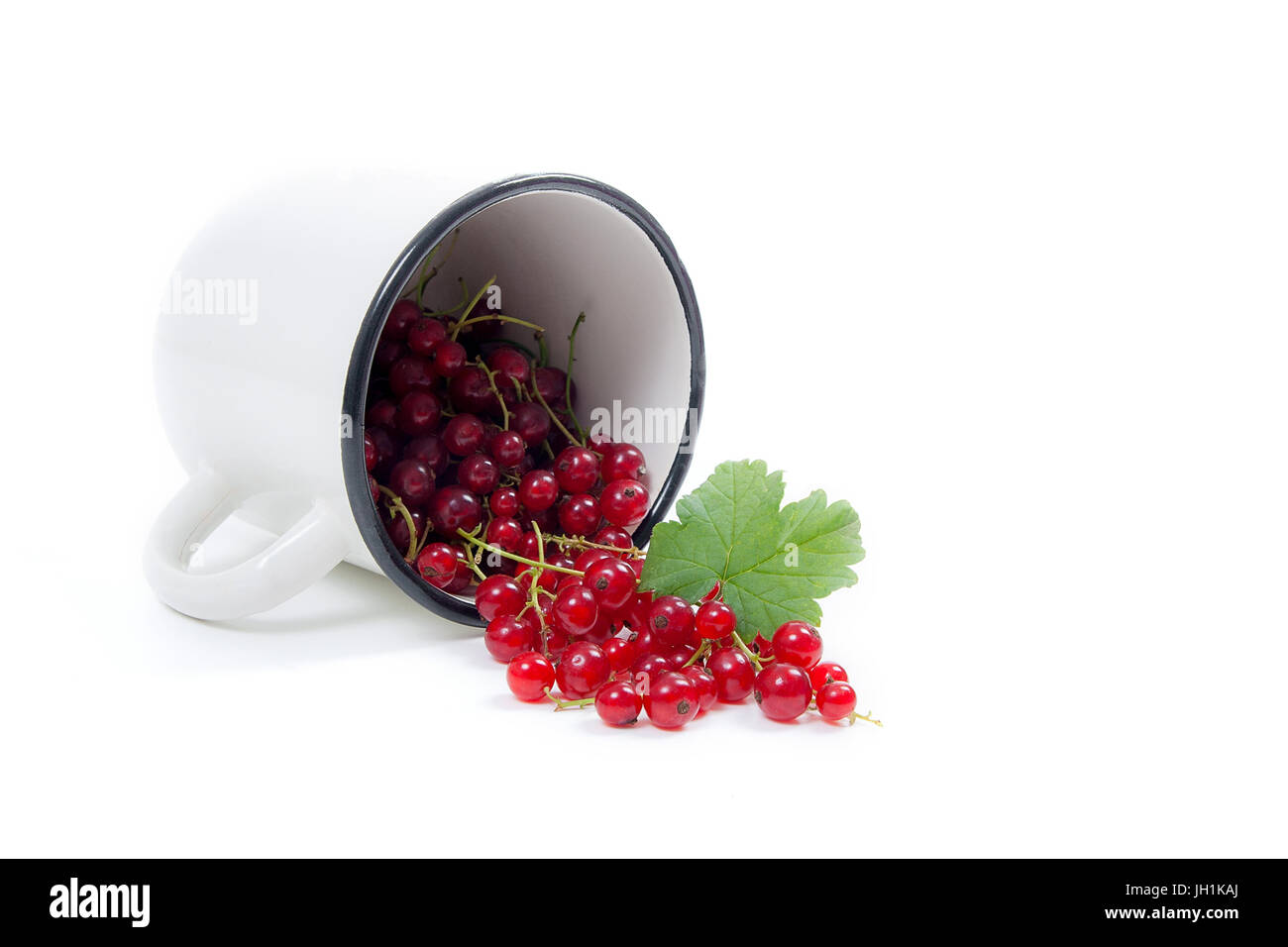 Close up view of white cup with red currant berry isolated on white ...