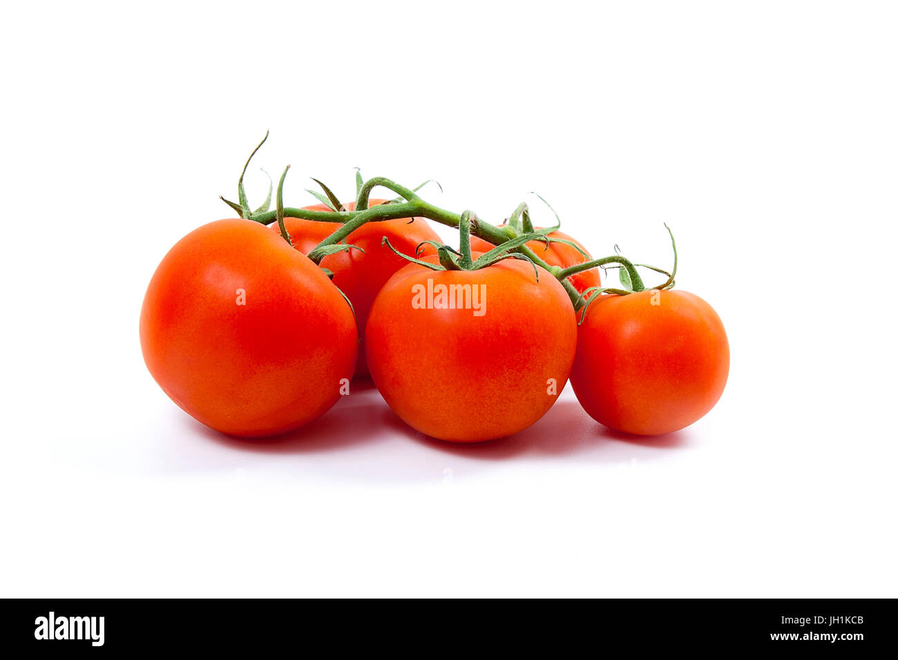 Close up view of bunch of the fresh red tomatoes from the organic farm ...