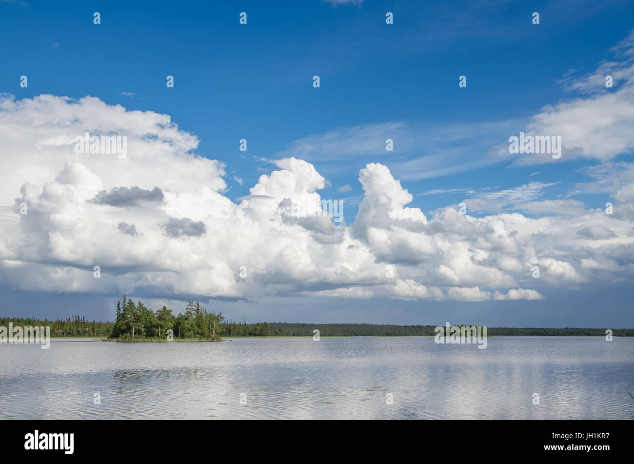 Wooded shore of a large lake. Forests along the coast. Kola Peninsula ...