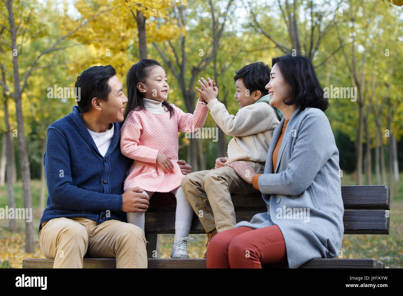 Family reunion park hi-res stock photography and images - Alamy