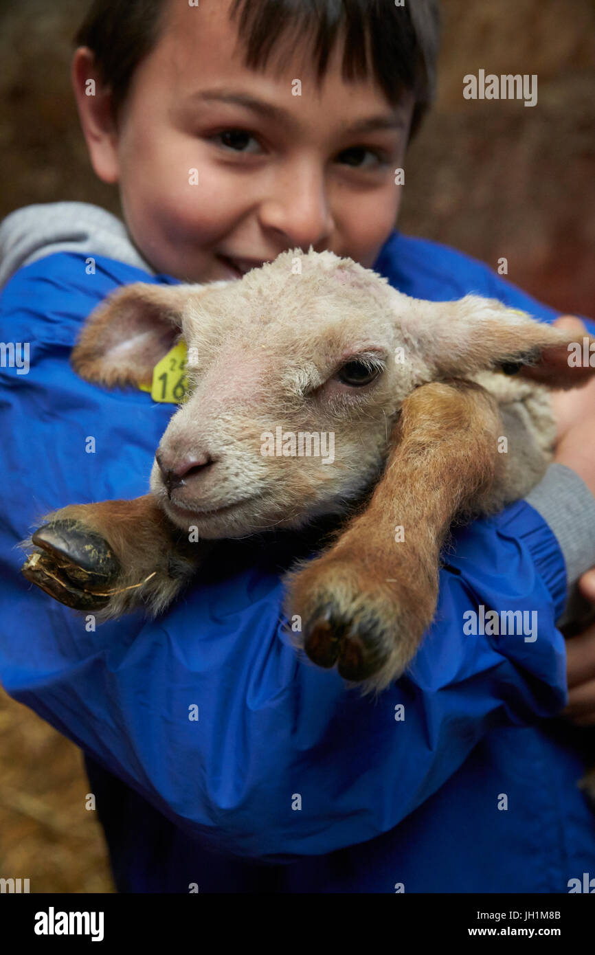 Carrying a lamb hi-res stock photography and images - Alamy