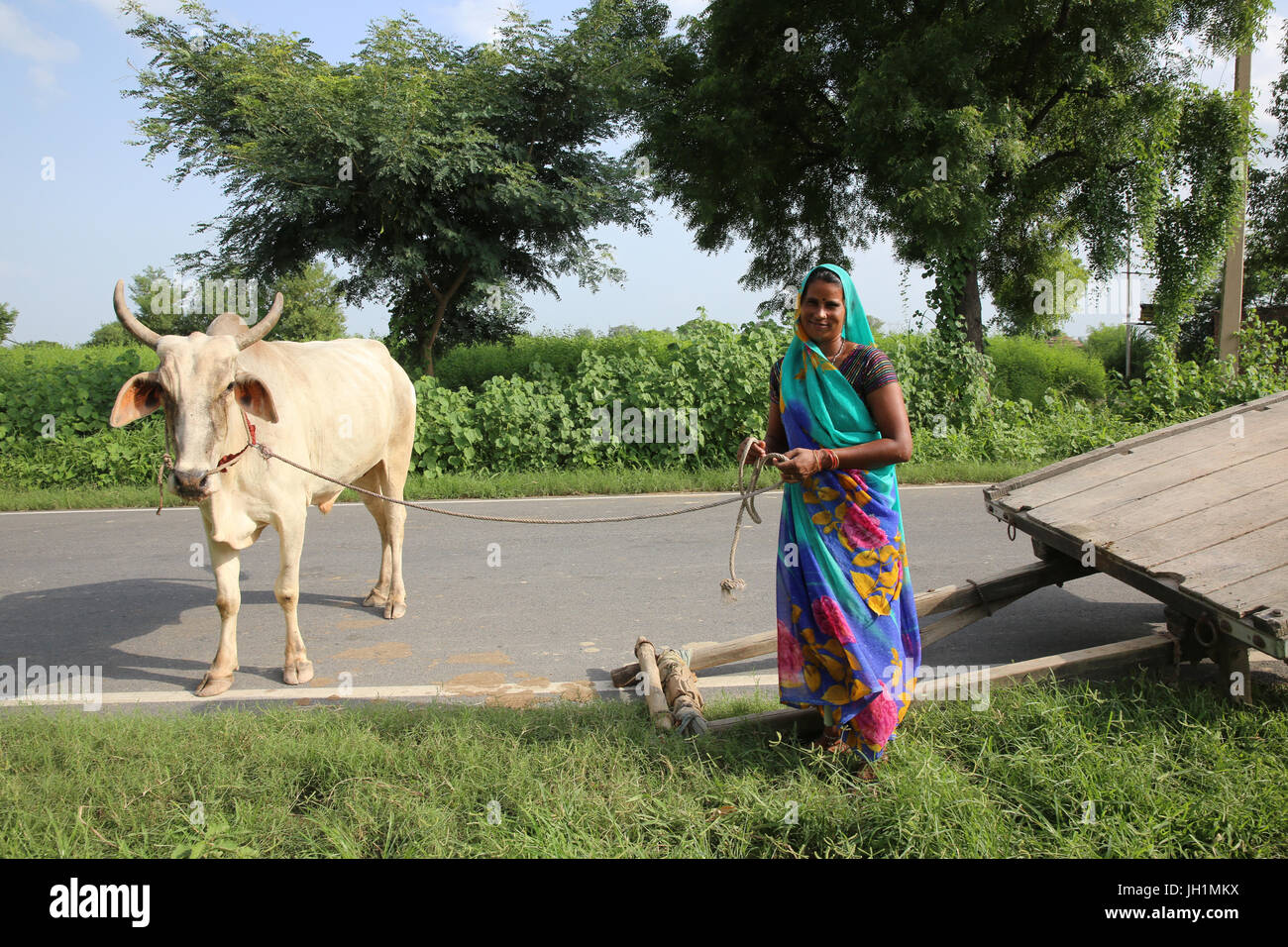 Woman of rural india hi-res stock photography and images - Alamy