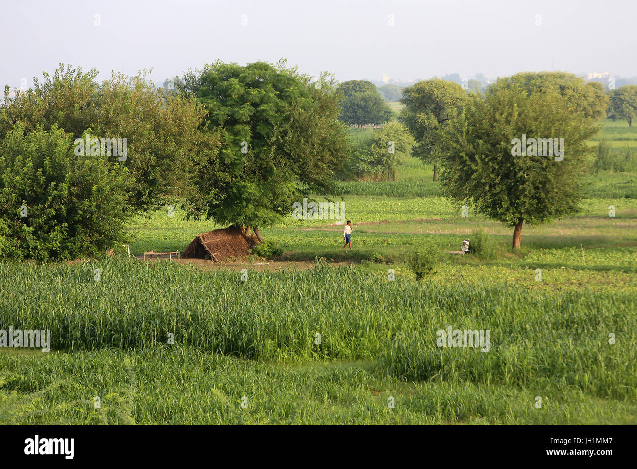 Green landscape india hi-res stock photography and images - Alamy