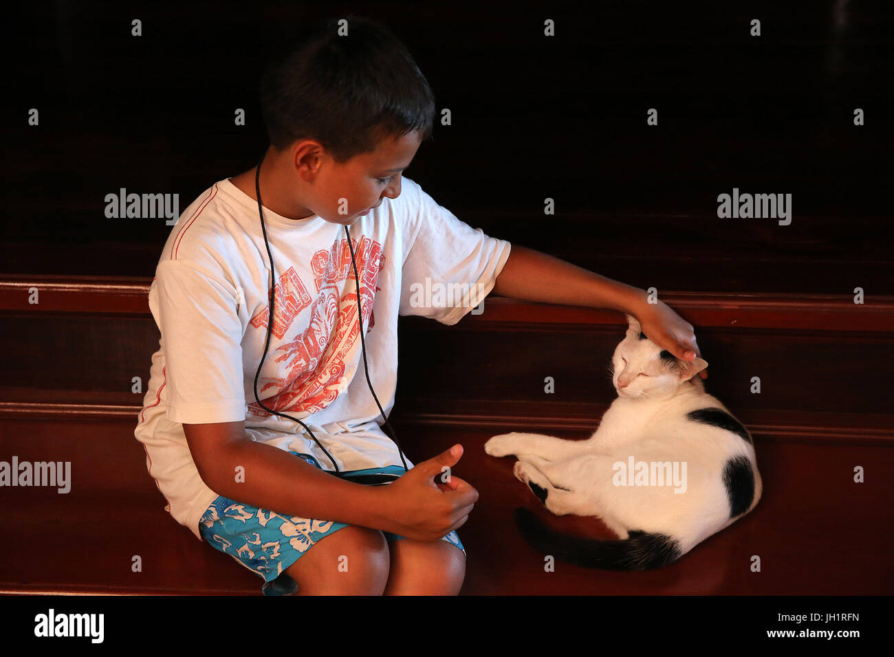 Boy with a cat hi-res stock photography and images - Alamy