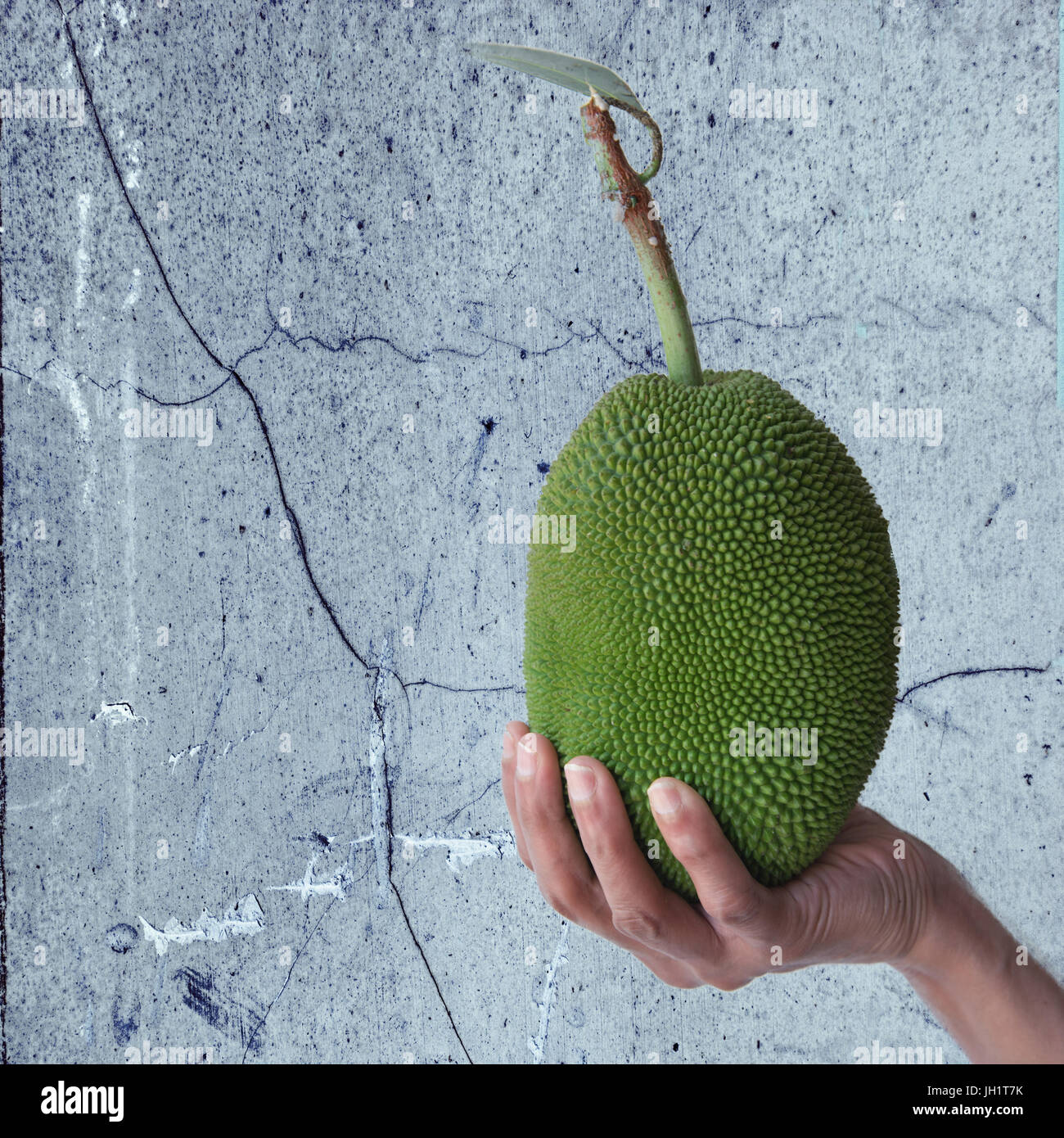 Jackfruit holding hi-res stock photography and images - Alamy