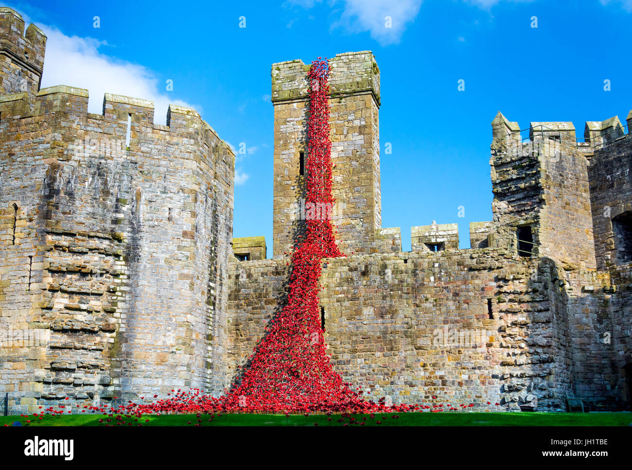 caernarfon castle wales poppy display 2016 commemorating 100 years ...