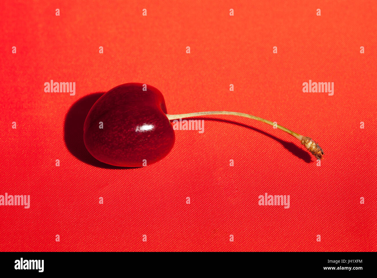 Sweet red cherry on red backround. Studio shoot Stock Photo - Alamy