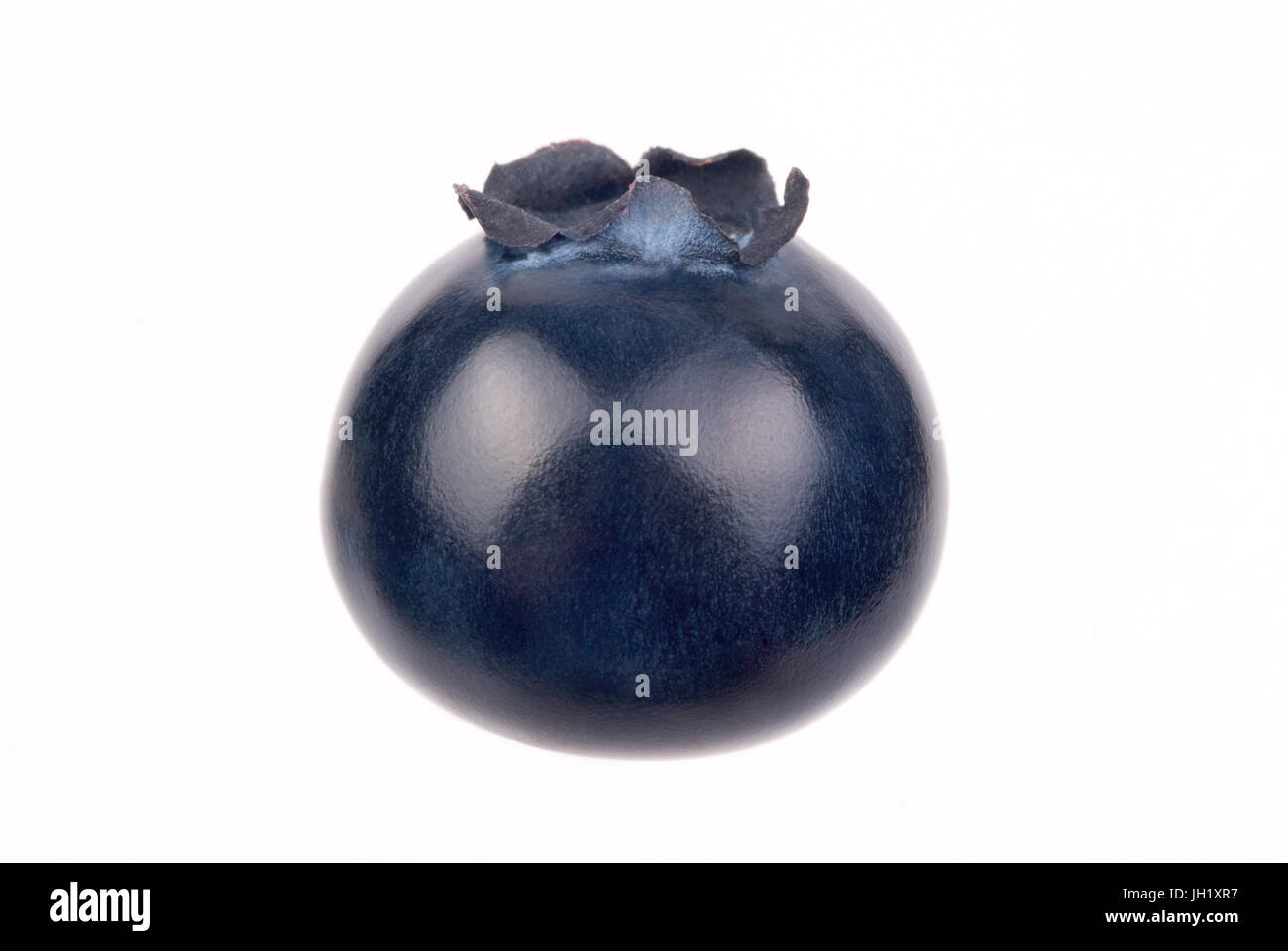 Single blueberry on white background. Studio shoot Stock Photo - Alamy