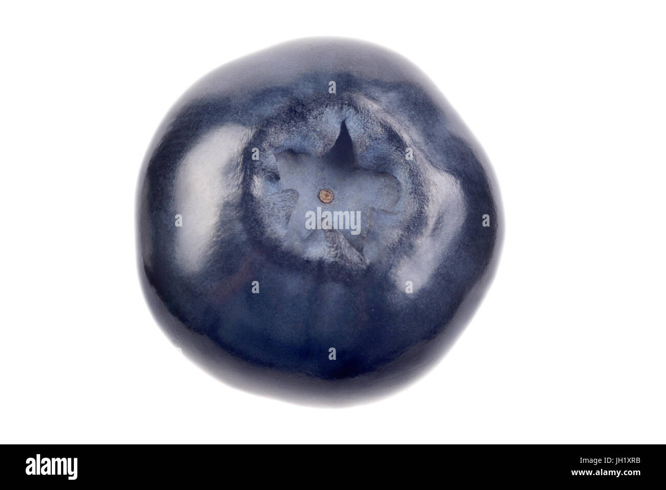 Single blueberry on white background. Studio shoot Stock Photo - Alamy