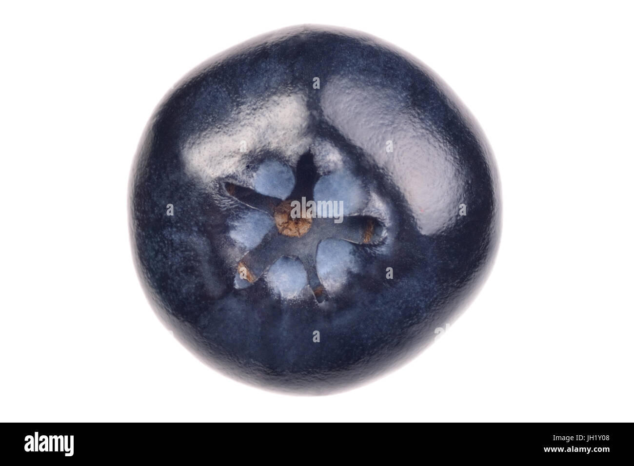 Single blueberry on white background. Studio shoot Stock Photo - Alamy