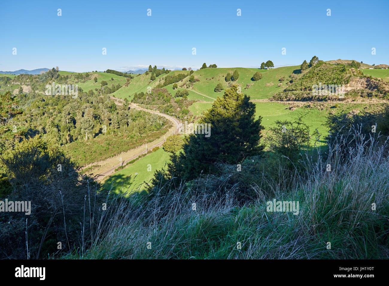 Grassland meadow nz hi-res stock photography and images - Alamy